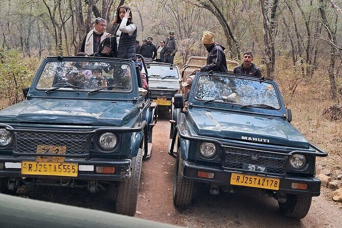 Ranthambore Tiger Reserve Private Gypsy Safari All inclusive - Analyzing the Value
