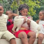 Rasta Cultural Experience with Herb Garden and Animal Farm Tour - Final Thoughts: Is It Worth It?