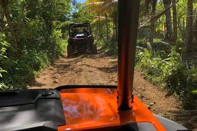 Rastafari Safari Cultural ATV Ride & Ricks Cafe Combo - Authentic Experiences and Past Guest Feedback