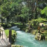 Rastasafari Experience ATV Adventure and Local Day Out - Authenticity and Overall Experience