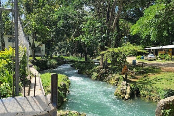 Rastasafari Experience ATV Adventure and Local Day Out - Authenticity and Overall Experience