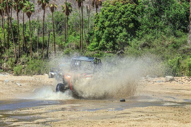 Razer Off-Road Adventure in Los Cabos - Value and Pricing Analysis