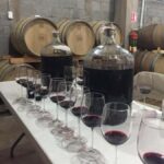 Recorrido + 3 vinos + Maridaje/Tour + 3 wines + Cheese board - Exploring Bodegas Pinesque: What to Expect
