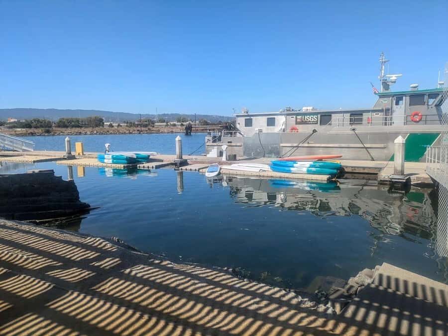 Redwood City: Stand-Up Paddleboard Rental - Authentic Experiences & Real Traveler Insights