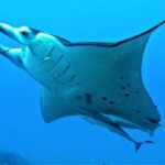 Reef Discovery Half Day Group Signature Tour - The Cost: Is It Worth the Price?