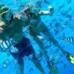 Reef Discovery Private Half Day Lagoon Tour - Practical Details: What to Expect