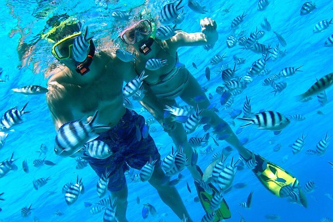 Reef Discovery Private Half Day Lagoon Tour - Practical Details: What to Expect