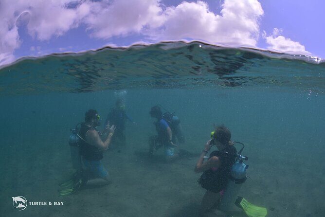 Refresher Dive - The Role of the Guides and Equipment