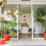 Relax and Rejuvenate with Shirodhara at Avata - FAQs