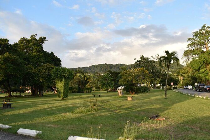 Relax in Hot Springs and swim in Titou Gorge and Trafalgar Falls - Authentic Experiences and Insights from Reviews