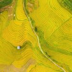 Remote Sapa Tour in Countryside of Nam Cang  Nam Nhiu Villages - What to Expect from the Experience