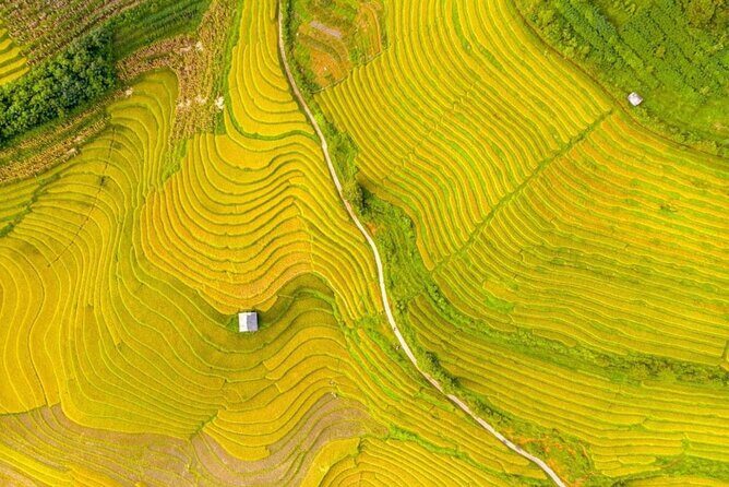 Remote Sapa Tour in Countryside of Nam Cang Nam Nhiu Villages - What to Expect from the Experience