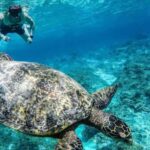 Rent Gopro 10 for all day - Who Will Love This Experience?