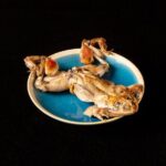 Restaurants in Tokyo Where You Can Eat Exotic Food - What We Like and What to Consider