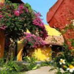 Reu Hoi An Must-Try Culinary Destination in the Ancient Town - A Thorough Breakdown of the Experience