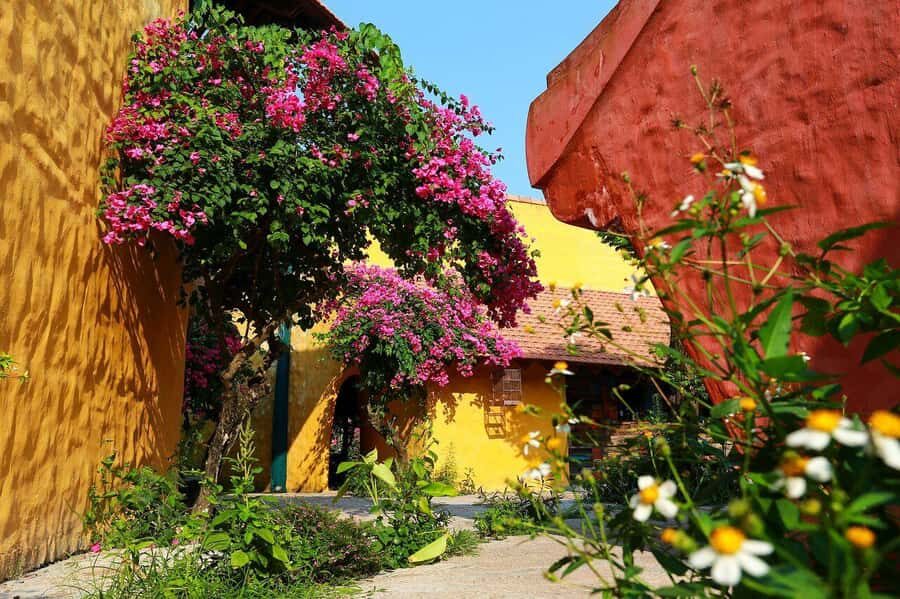 Reu Hoi An Must-Try Culinary Destination in the Ancient Town - A Thorough Breakdown of the Experience