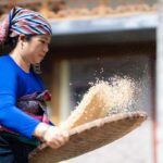 Rice Processing Workshop in Mai Chau - Who Will Love This Tour?