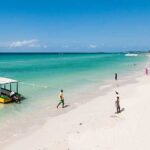 Ricks Cafe and Negril Seven Miles Beach Irie Tour - Exploring the Tour in Detail