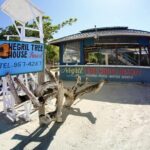 Rick's Cafe seven mile beach private tour - The Itinerary: What You Can Expect