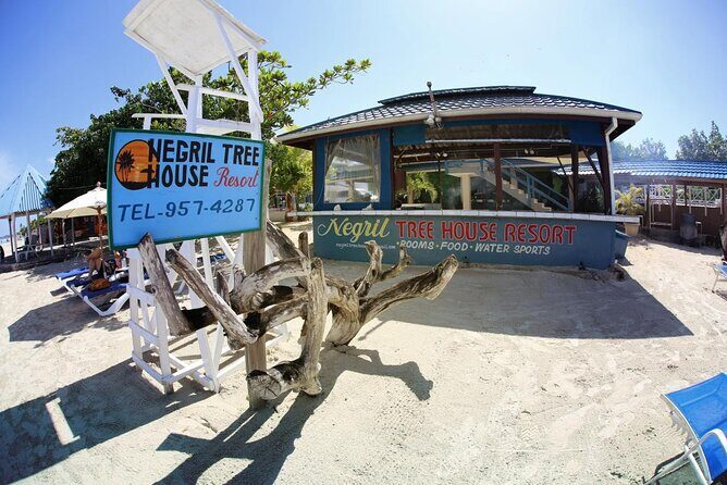 Rick's Cafe seven mile beach private tour - The Itinerary: What You Can Expect