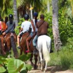 Ride Horses on the Beach - What You Can Expect: From Beginners to Experienced Riders