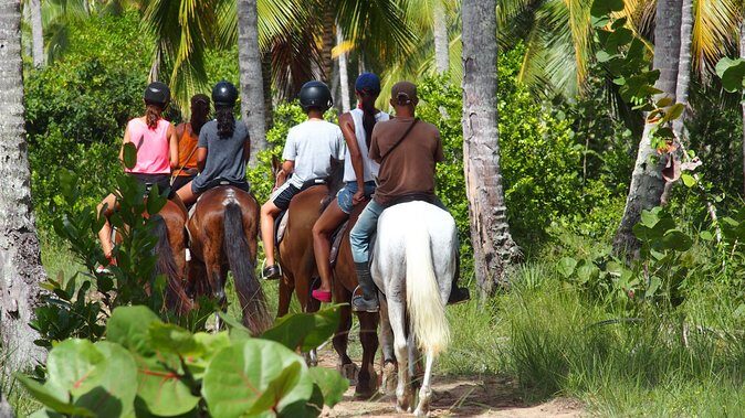 Ride Horses on the Beach - What You Can Expect: From Beginners to Experienced Riders