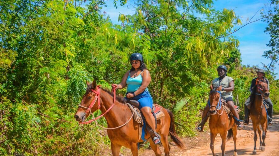 Ride into Paradise: Punta Cana Horsback Riding On the Beach. - What Makes This Tour Stand Out?