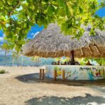 Rincon Beach and Cayo Levantado from Punta Cana - The Logistics: What You Need to Know