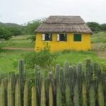 Rincon Visit with Local Guide - Who Will Love This Tour?