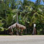 Rio grande & Luquillo Jet Ski Tour - Practical Details to Keep in Mind