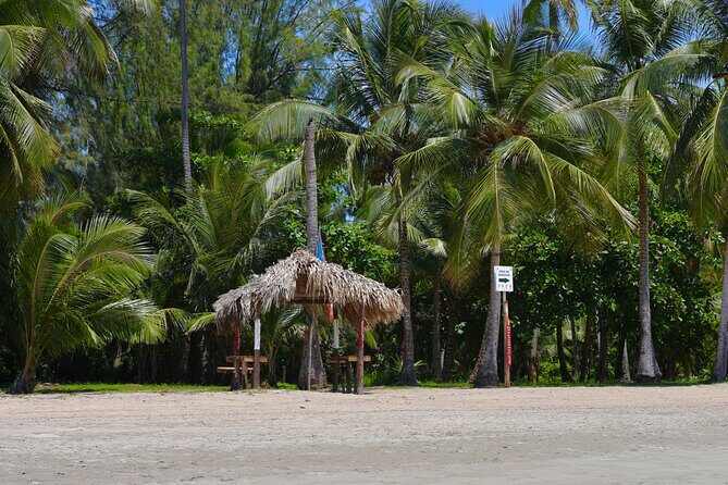 Rio grande & Luquillo Jet Ski Tour - Practical Details to Keep in Mind