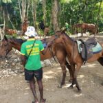 Rio Nuevo Jamaica Private Rafting Horse Ride Adventure - Detailed Breakdown of the Itinerary