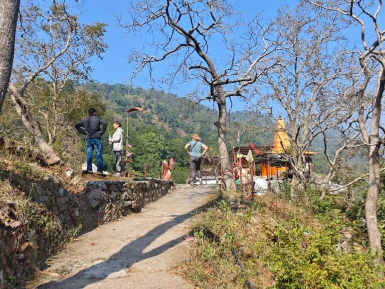 Rishikesh: Gohri Range Hike, Temple Visit, & Transfer - What to Expect & Tips for a Great Experience