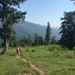 Rishikesh Jungle Trek to Offbeat Village with Ganges Views - The Value of the Experience