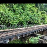 River kwai & Kanchanaburi Day Tour From Bangkok - Authentic Experiences and Traveler Perspectives