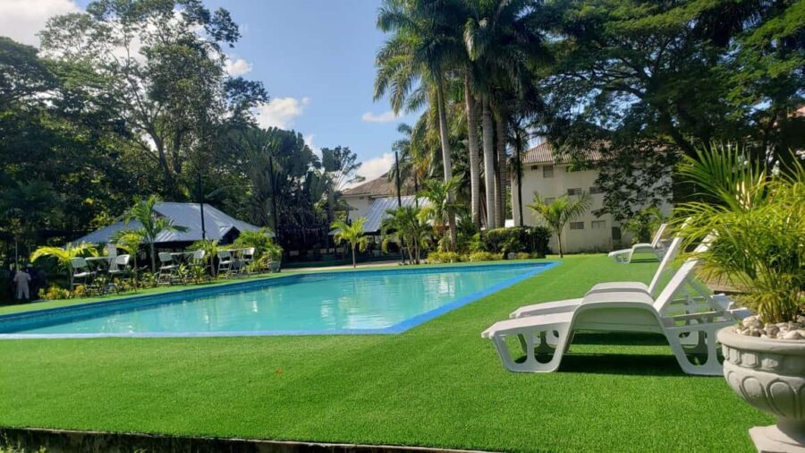 River Tubing and Dunn's River Falls - Authentic Insights from Reviews and Experience