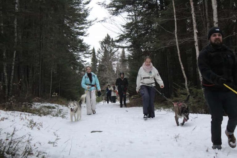 Rivière-Rouge: Snowshoe with Joering Harness and Sled Dogs - Practical Tips for Participants