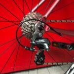 Road Bike Rentals - What to Expect on Your Singapore Cycling Day