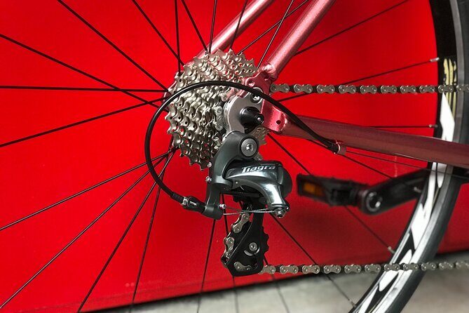 Road Bike Rentals - What to Expect on Your Singapore Cycling Day