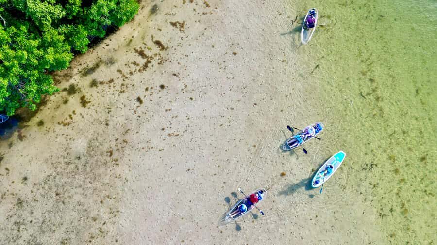 Robinson Preserve: Clear Kayak Ecotour - FAQ