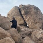 Rock Scrambling Adventures in Joshua Tree National Park - Who Will Love This Tour?
