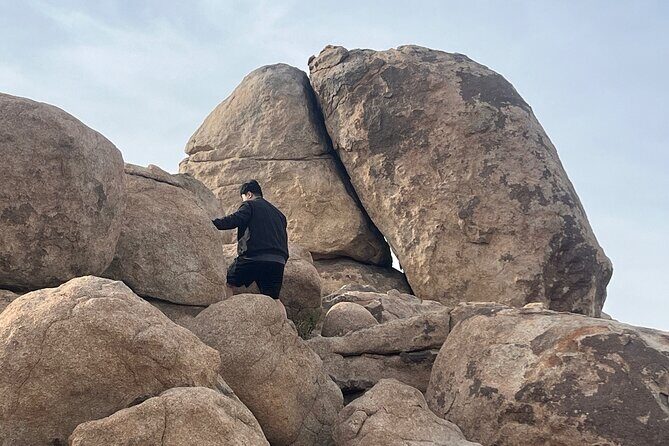 Rock Scrambling Adventures in Joshua Tree National Park - Who Will Love This Tour?