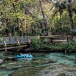 Rock Springs River Tubing & Apopka Wildlife Adventure with Pickup - The Tubing Experience: What Makes It Special