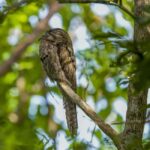 Rockland Bird Sanctuary and Shopping with Transportation - Value and Pricing