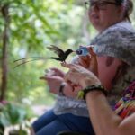 Rockland Bird Sanctuary plus Montego Bay Highlights & Shopping Private Tour - Final Thoughts