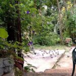 Rockland Bird Sanctuary Private Tour - The Itinerary in Detail: What to Expect