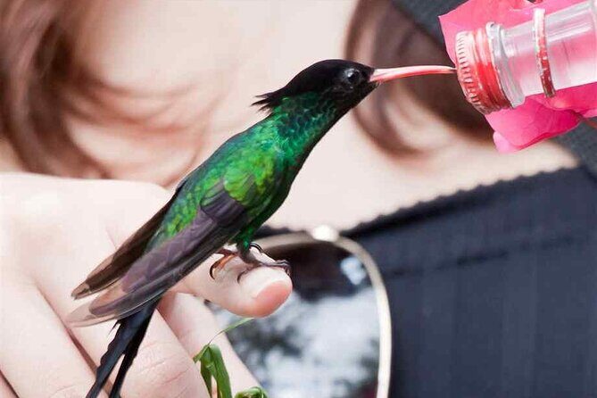 Rockland Bird Sanctuary Private Tour - Who Should Consider This Tour?