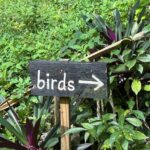 Rocklands Bird Sanctuary & St James Parish Church - Final Thoughts: Is This Tour Right for You?