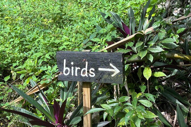 Rocklands Bird Sanctuary & St James Parish Church - Final Thoughts: Is This Tour Right for You?