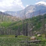 Rocky Mountain National Park: Full Day Hike with Lunch - Practical Details and Tips for Travelers